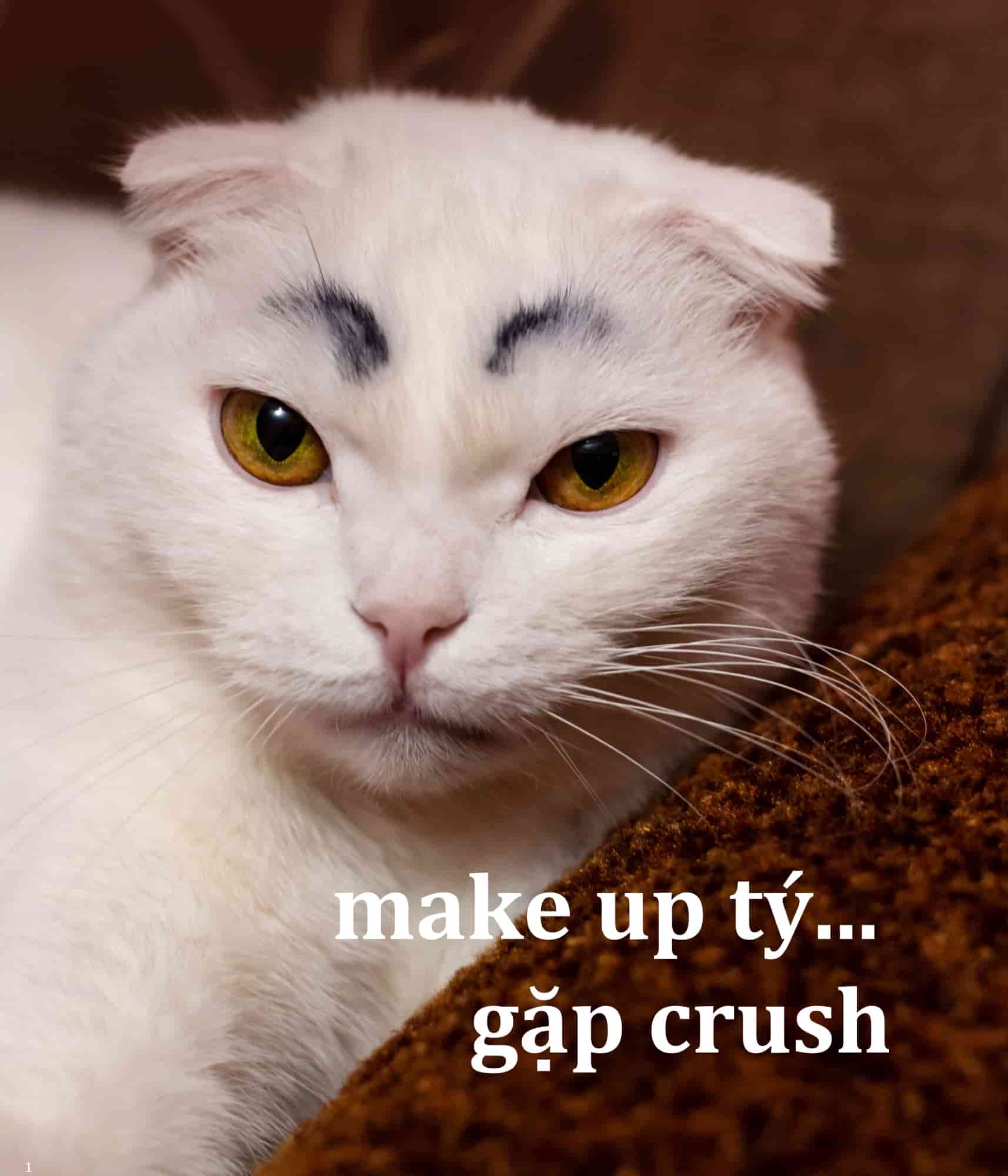 Hình meme, tải miễn phí ngay 102+ hình cực hài - Sago Print