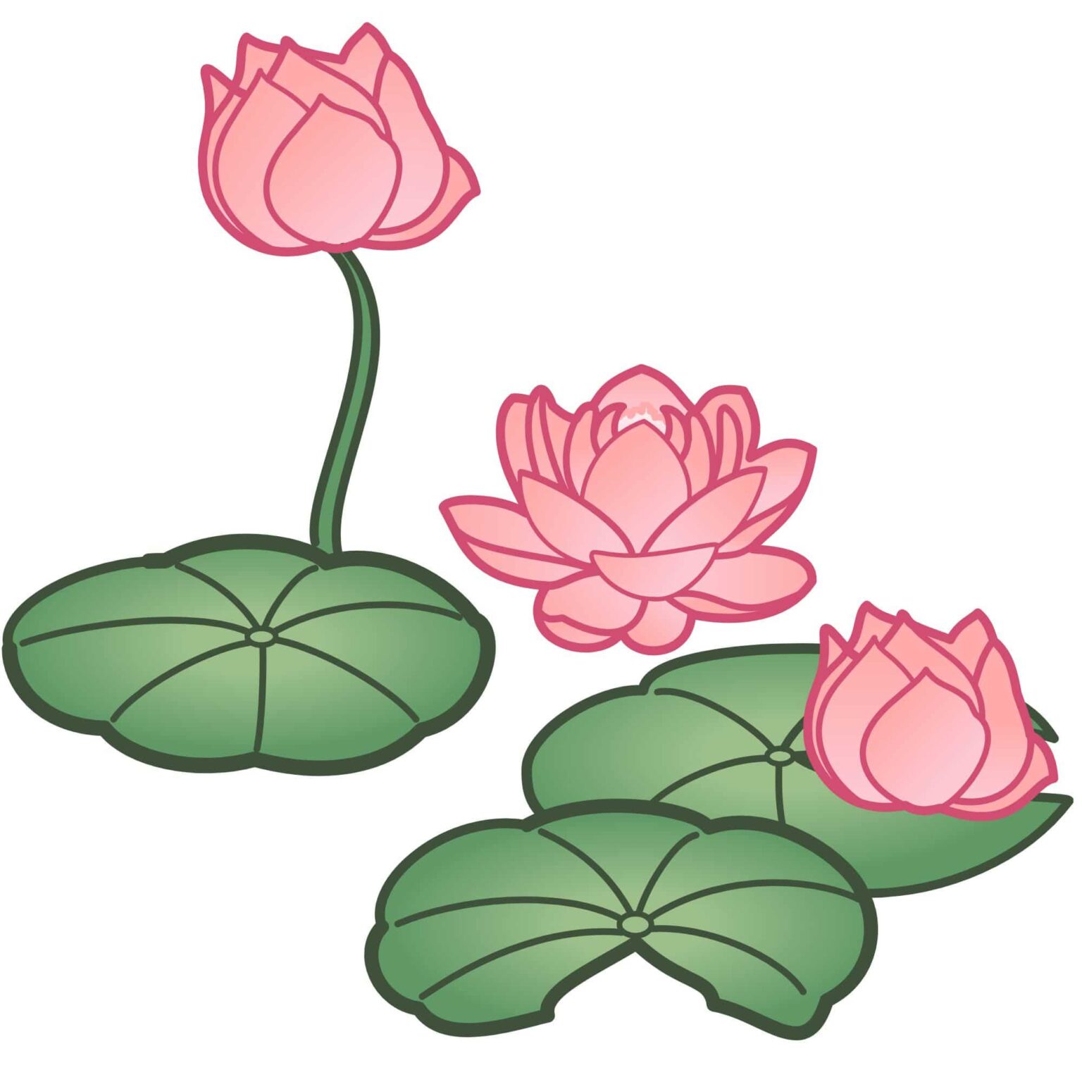 Tải hình hoa sen miễn phí