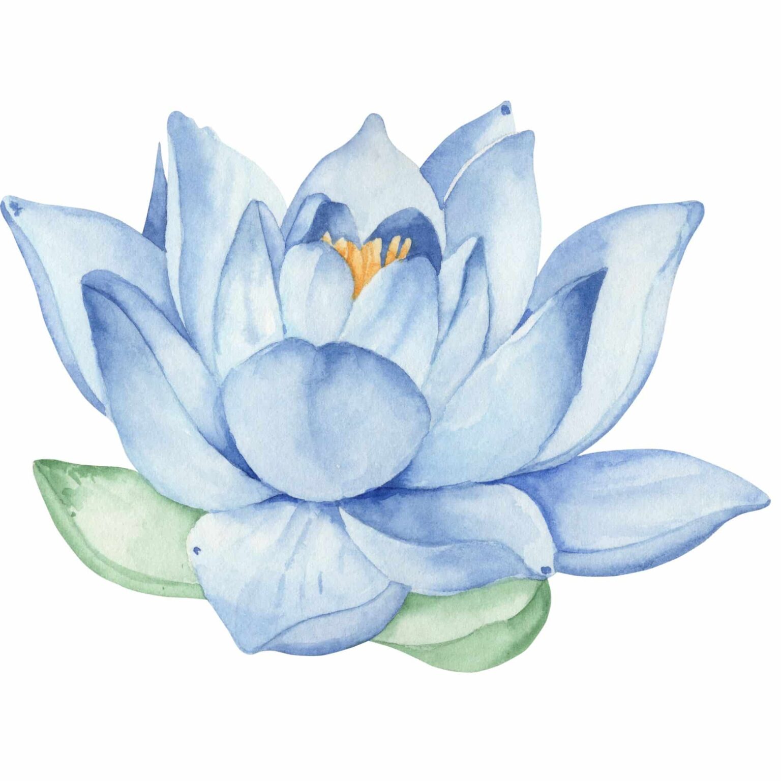 Tải hình hoa sen miễn phí